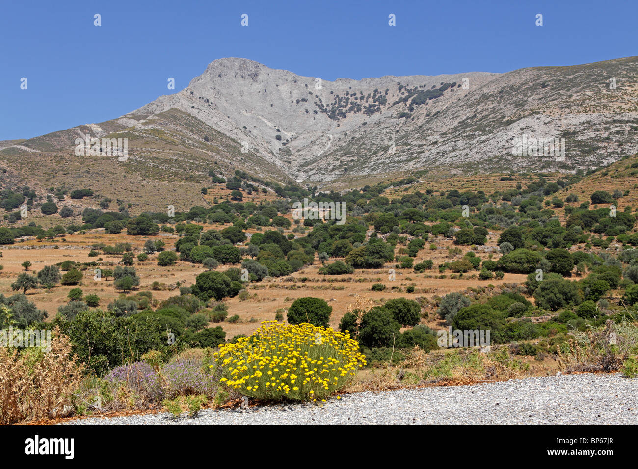 Zas Mountain, Island of Naxos, Cyclades, Aegean Islands, Greece Stock ...
