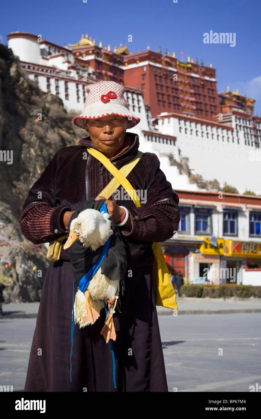 A Tibetan woman holds a live duck in front of the Potala palace in ...