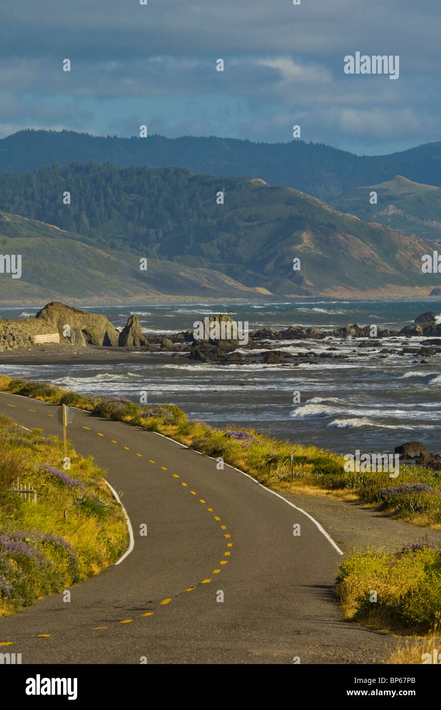 The Mattole Road along the ocean at the Lost Coast near Cape Mendocino ...