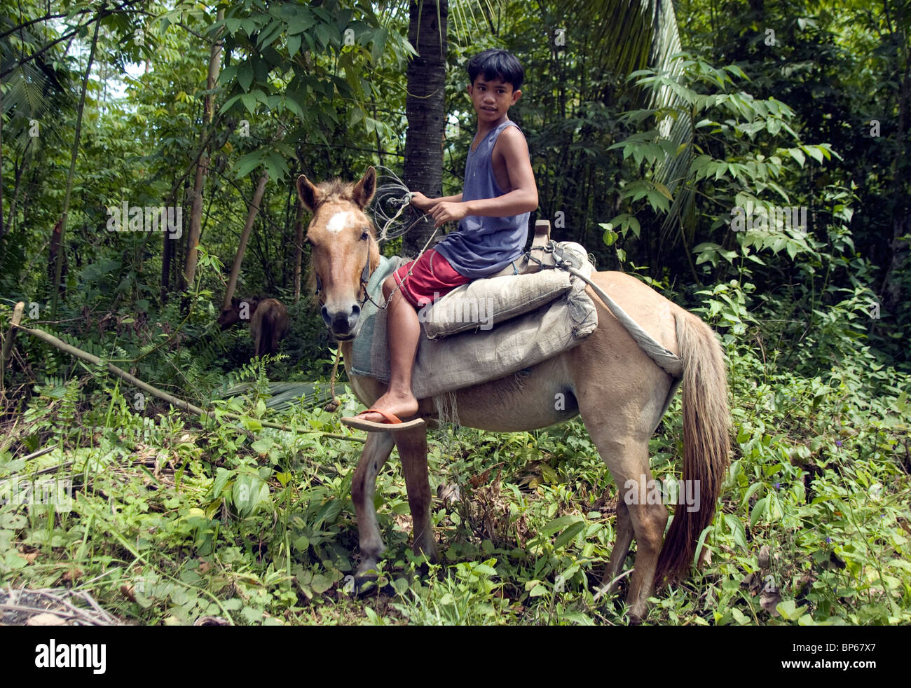 Blaan Tribe High Resolution Stock Photography and Images - Alamy