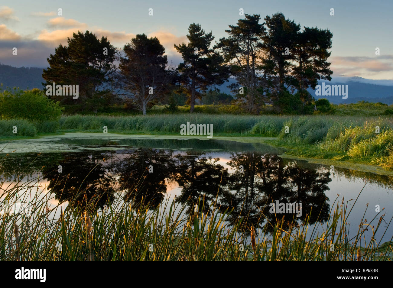 Arcata california hi-res stock photography and images - Alamy