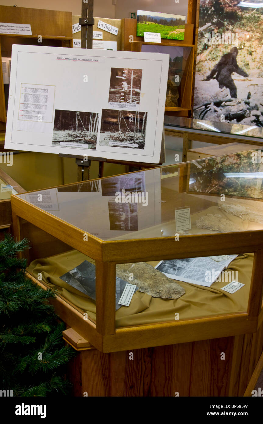Bigfoot artifacts and footprint casts on display at the Willow Creek ...
