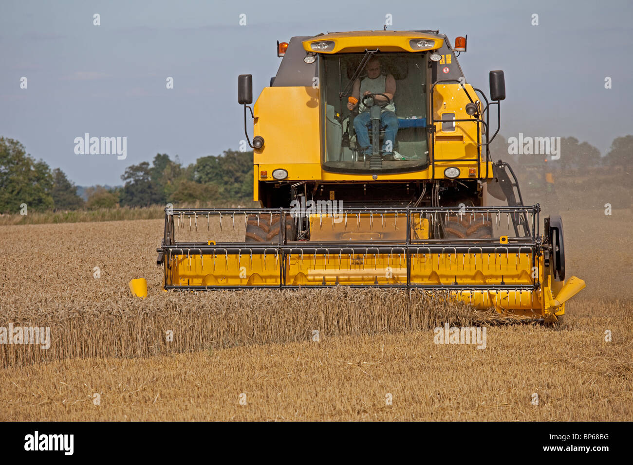 New Holland combine harvester harvesting wheat field Cotswolds UK Stock ...