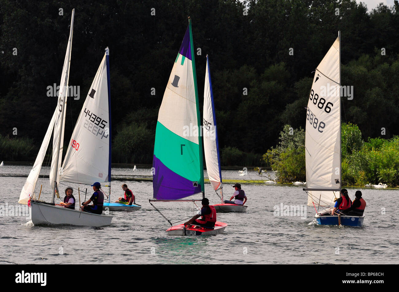 Children Sailing boats on Lake Stock Photo - Alamy