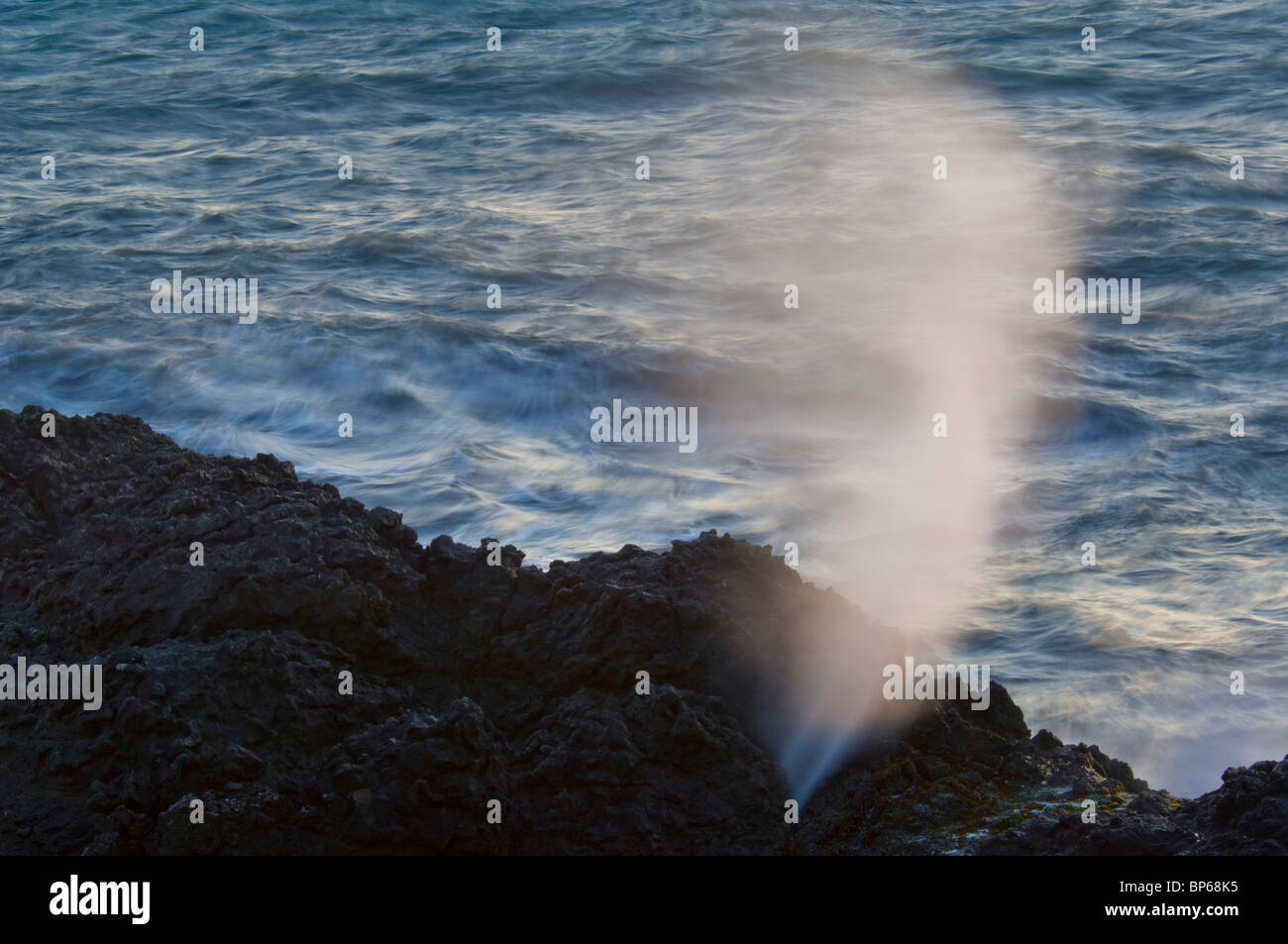 Spurt of water spraying in wind from blowhole in coastal rocks, Shelter ...