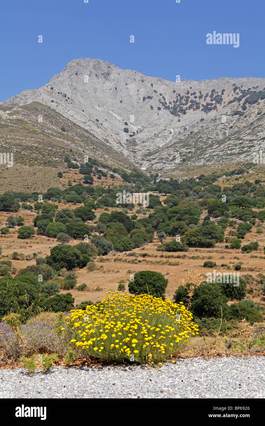 Zas Mountain, Island of Naxos, Cyclades, Aegean Islands, Greece Stock ...