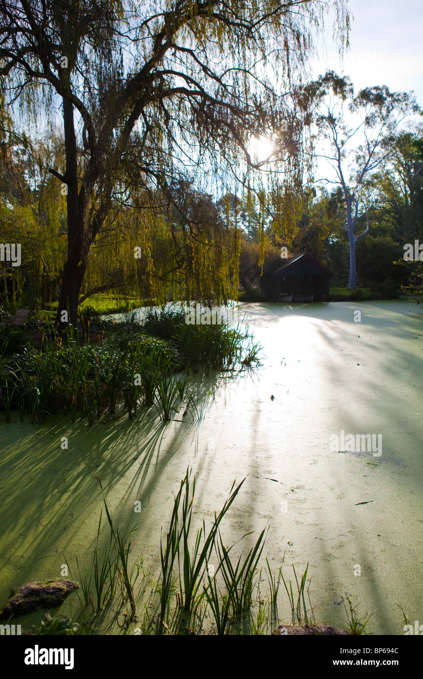 Lake at Rippon Lea Estate, Melbourne, Australia Stock Photo - Alamy