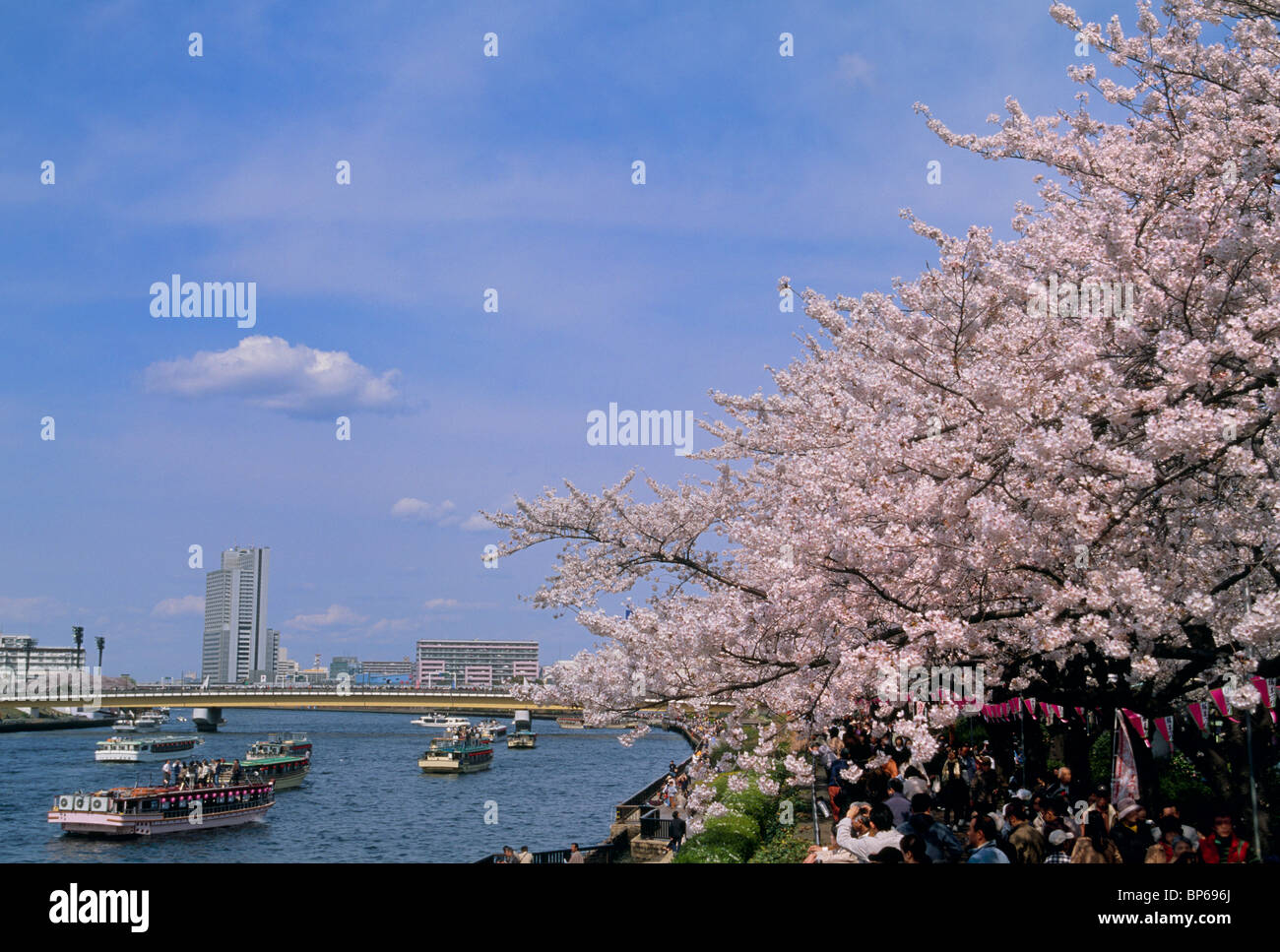 Tokyo river scene hi-res stock photography and images - Alamy