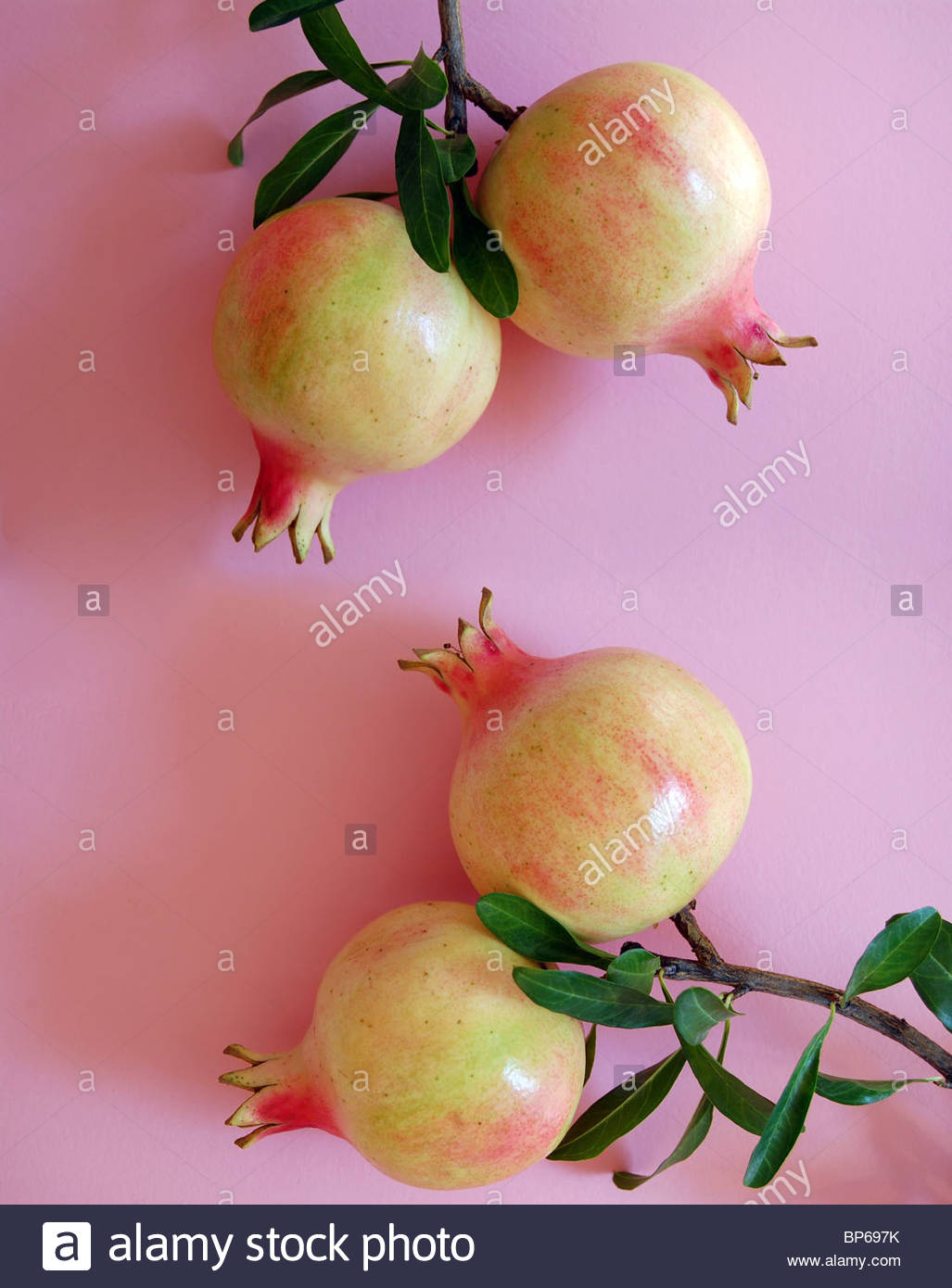 Fruit Store Poster Stock Photos & Fruit Store Poster Stock Images - Alamy