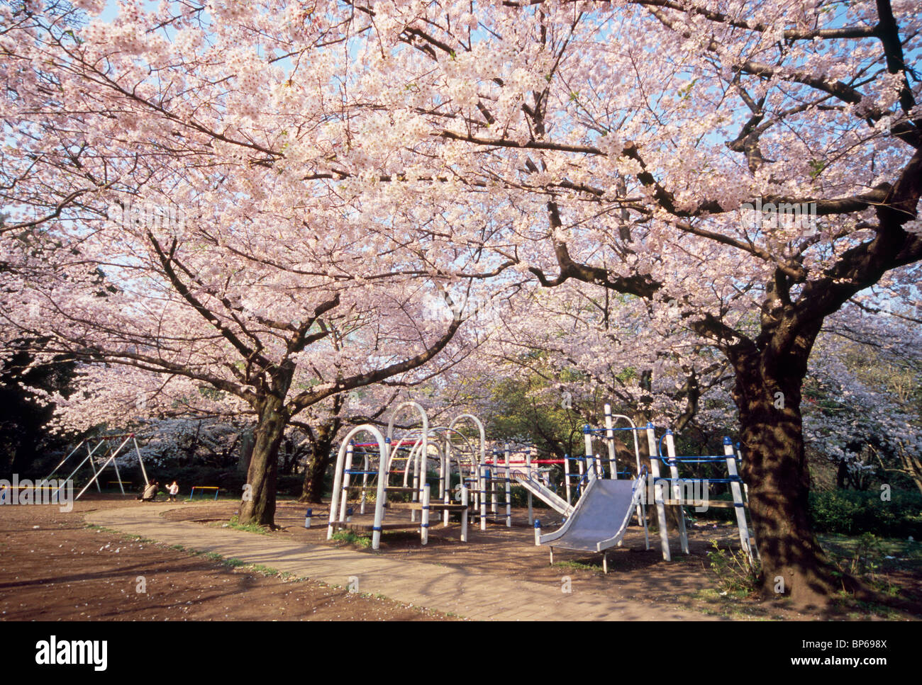 Suginami tokyo japan hi-res stock photography and images - Alamy