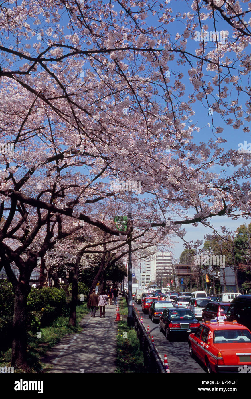 British embassy japan hi-res stock photography and images - Alamy