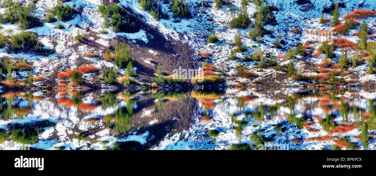 Ellery Lake with fall color and reflection after snowfall. Inyo ...