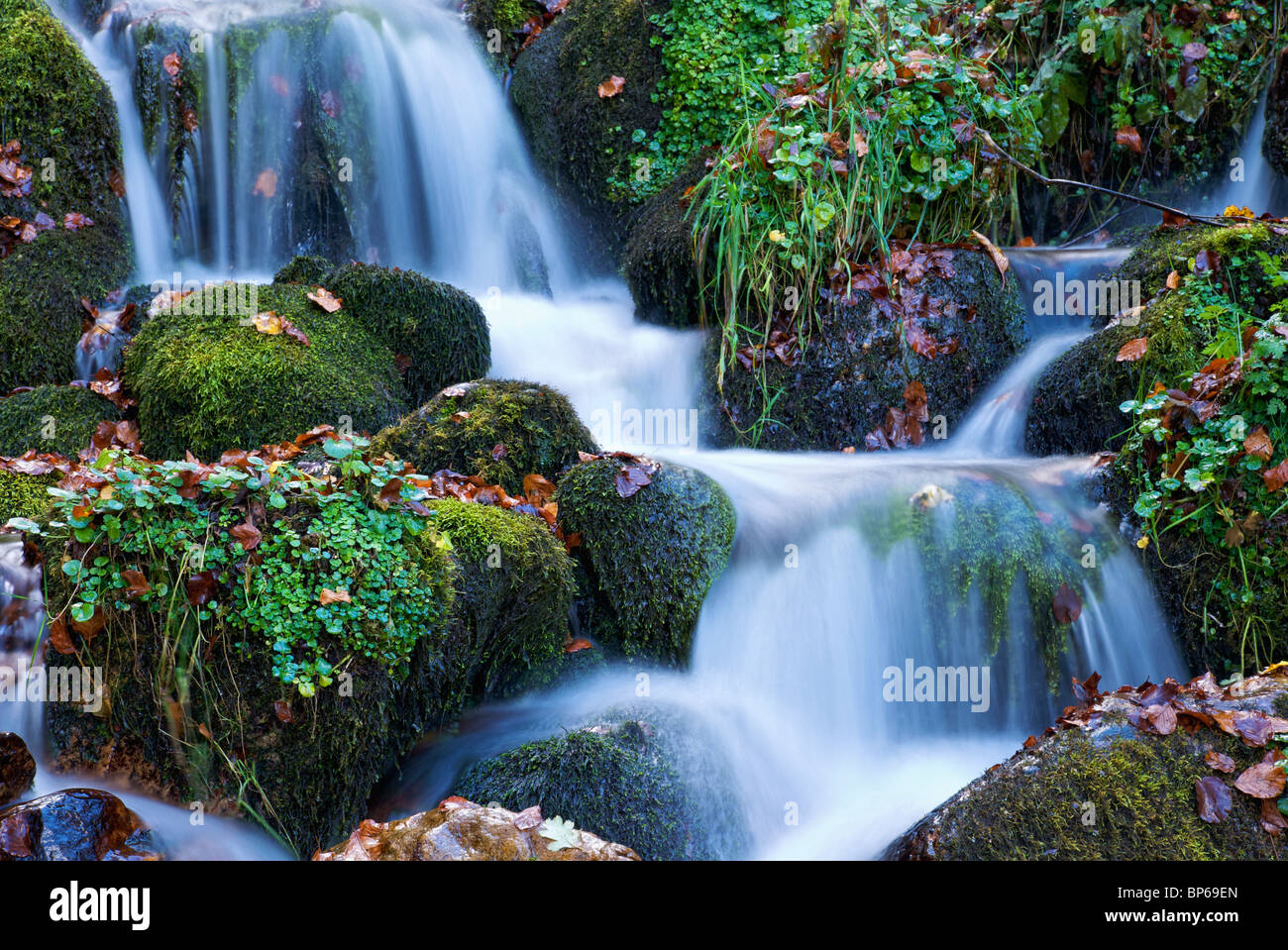 Waterfall. Redes Natural Park and Biosphere Reserve. Caso Council ...
