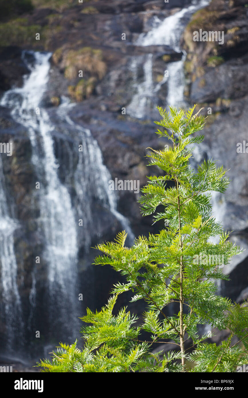Waterfall on mountain side hi-res stock photography and images - Alamy