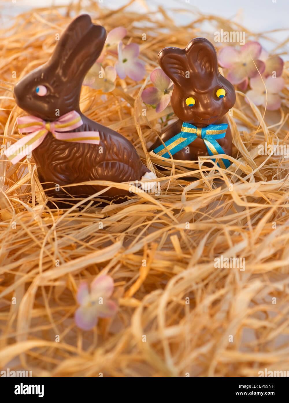 Raffia bunny hi-res stock photography and images - Alamy