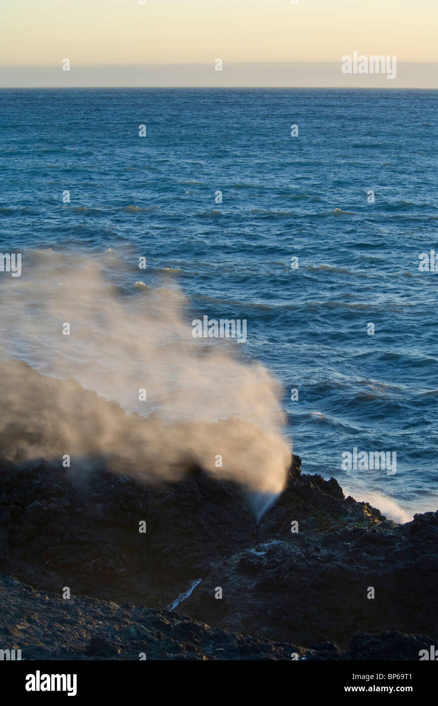 Spurt of water spraying in wind from blowhole in coastal rocks, Shelter ...