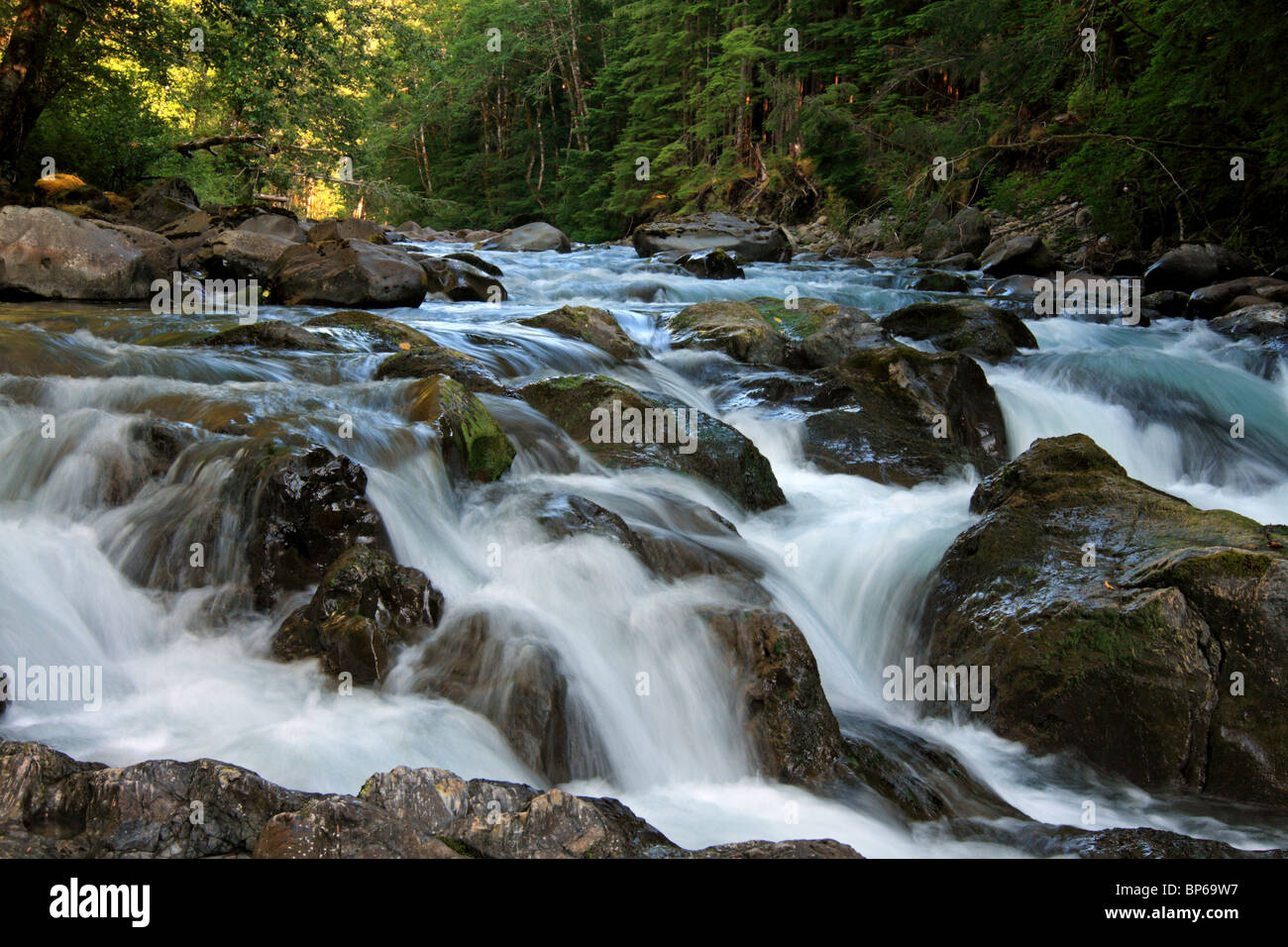 The Salmon Ladders on the Sol Duc River in Olympic National Park Stock ...
