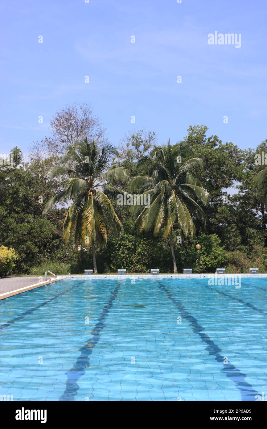 Coconut pool hi-res stock photography and images - Alamy