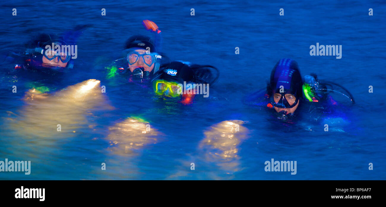 Night diver flashlight hi-res stock photography and images - Alamy