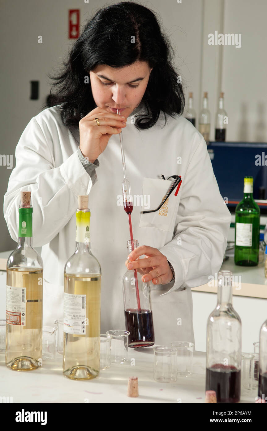 Science of winemaking hi-res stock photography and images - Alamy