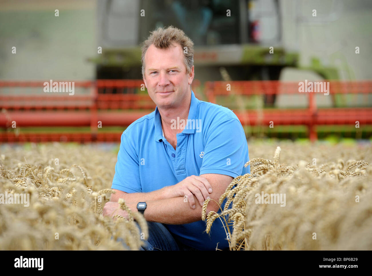 An arable farmer from Wiltshire in a field of wheat UK Stock Photo - Alamy