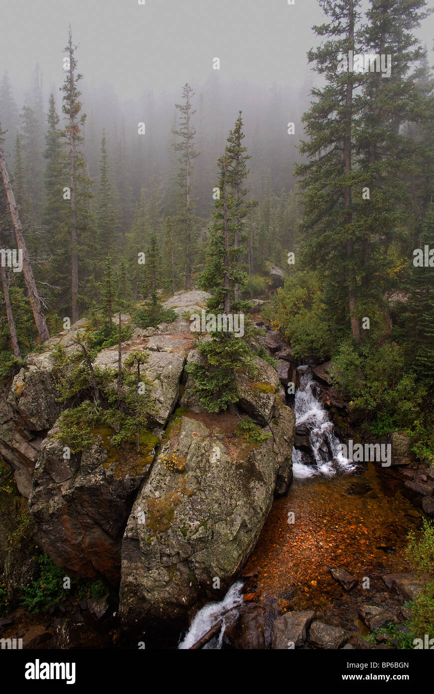 Old fall river road hi-res stock photography and images - Alamy