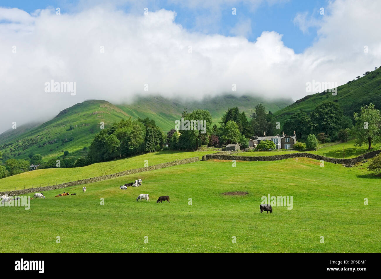 Looking up the fell towards Fairfield shrouded in mist in summer near ...