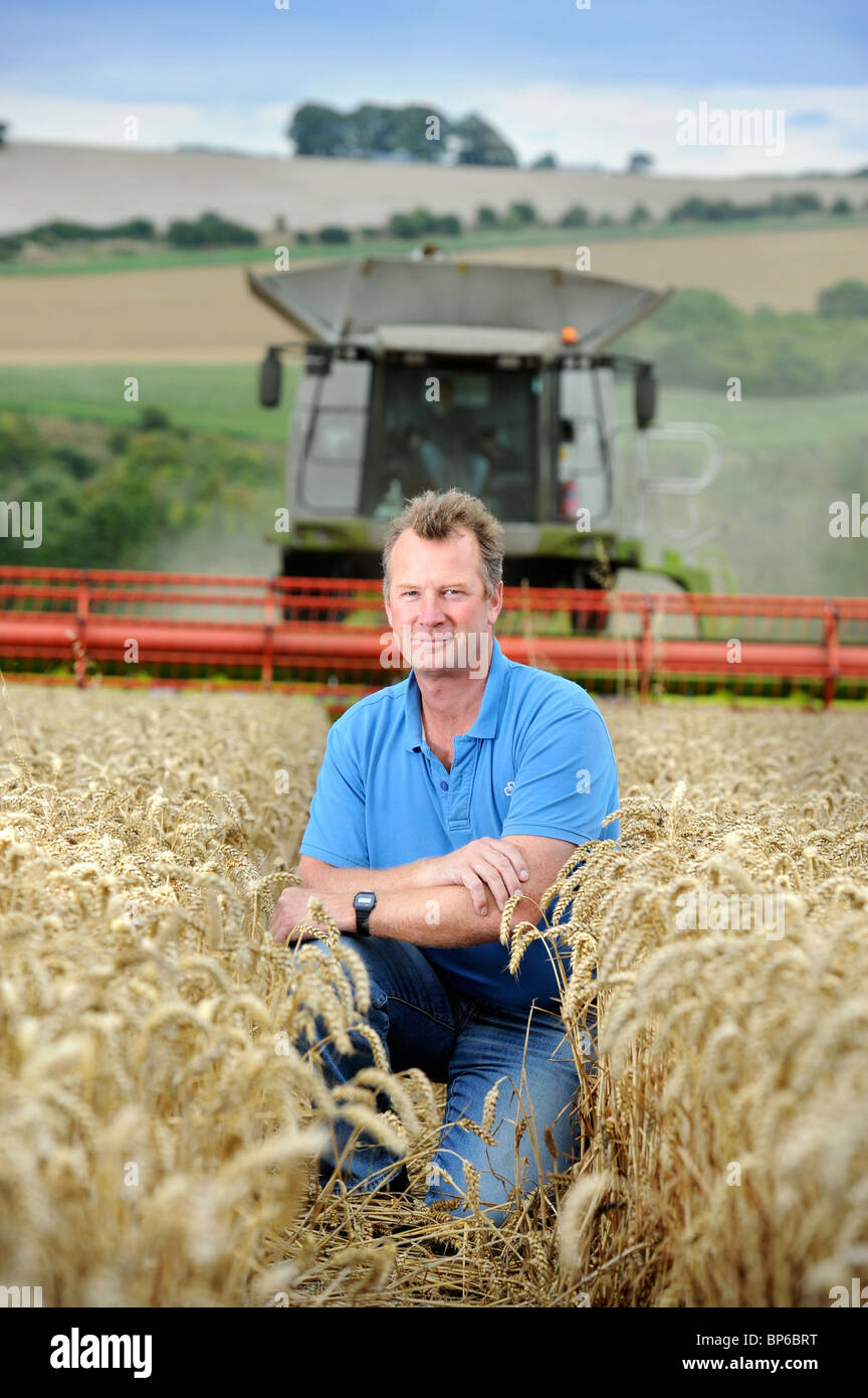 An arable farmer from Wiltshire in a field of wheat UK Stock Photo - Alamy