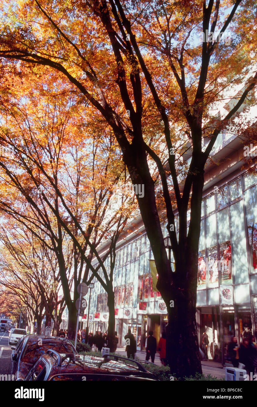 Omotesando avenue hi-res stock photography and images - Alamy