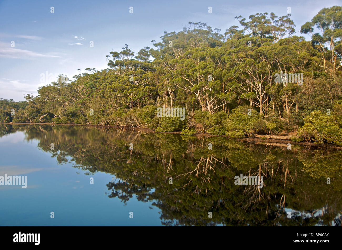 Huskisson hi-res stock photography and images - Alamy