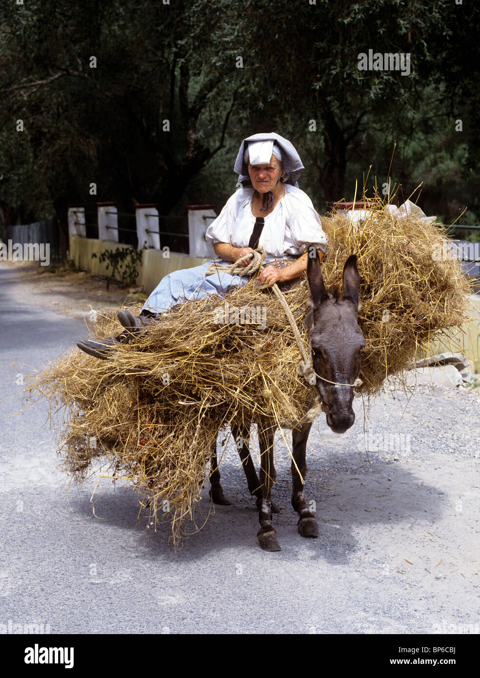 Woman traditional dress riding donkey hi-res stock photography and ...