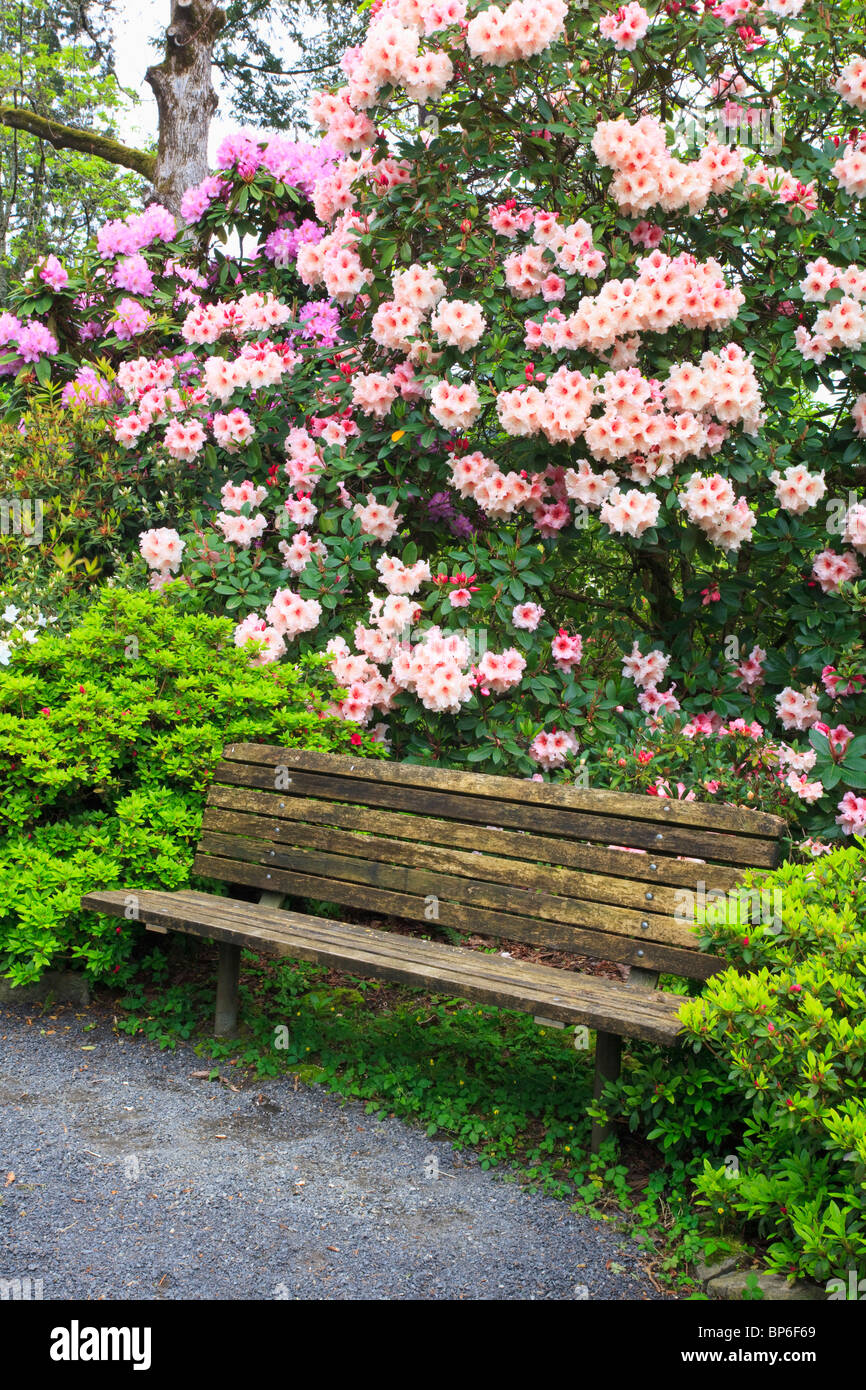 Spring flowers on a bench hi-res stock photography and images - Alamy