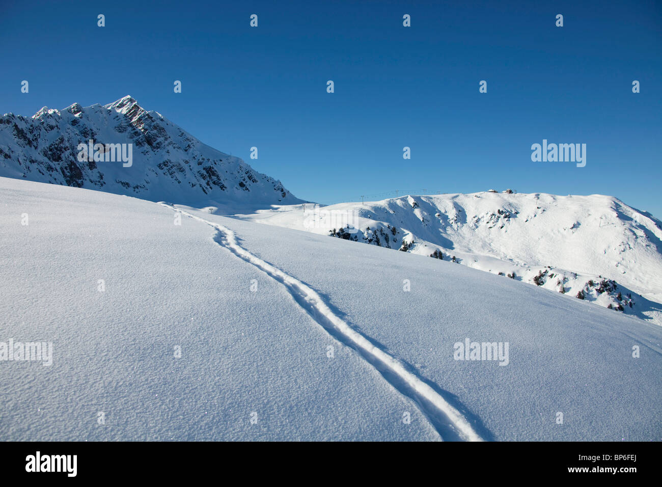 Snowboard track in fresh snow Stock Photo - Alamy