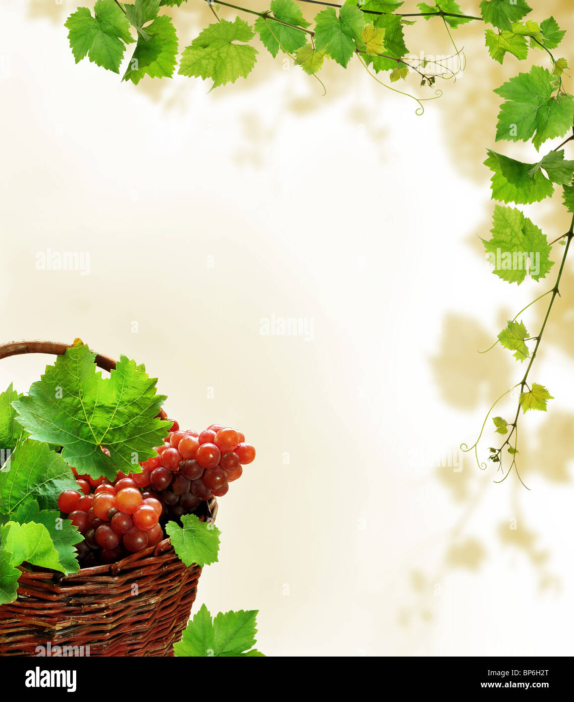 Wine And Grapes Wallpaper