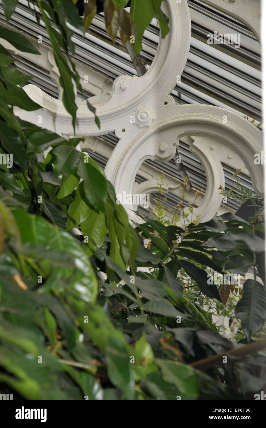 Inside kew greenhouses hi-res stock photography and images - Alamy