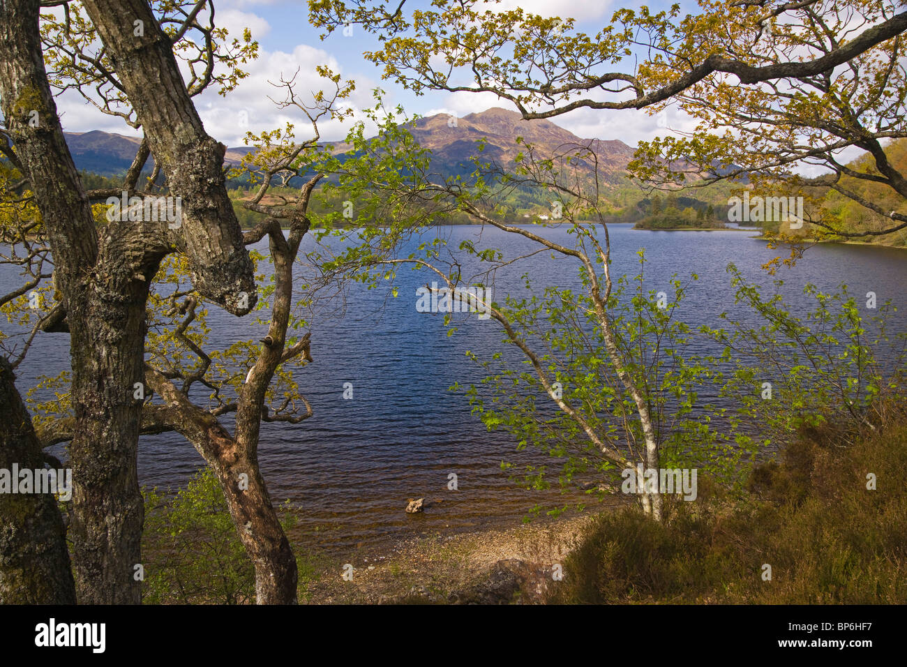 Looking to head of Loch Achray, Trossachs, Stirlingshire, Scotland ...