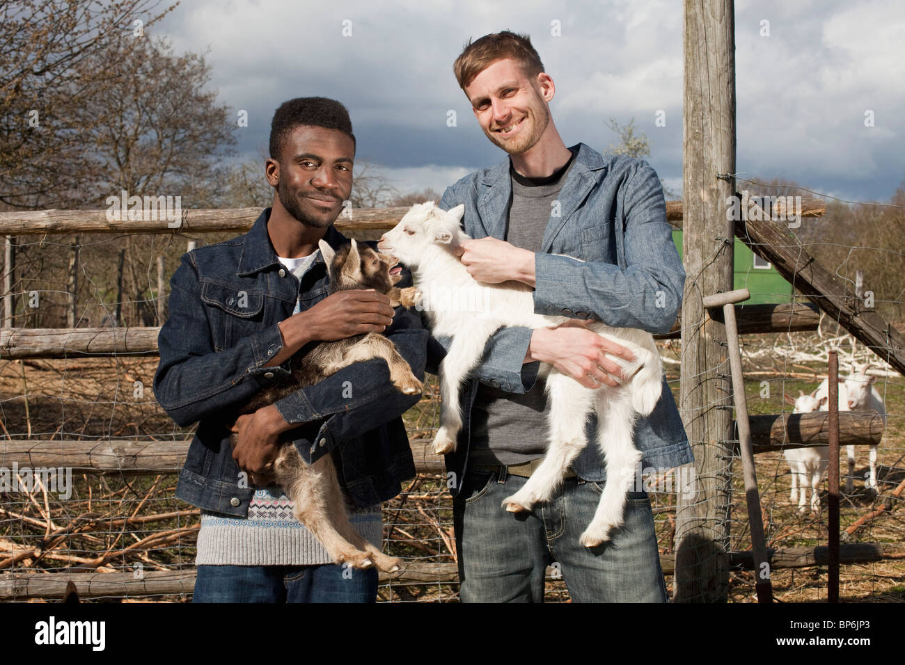 Male goats hi-res stock photography and images - Alamy