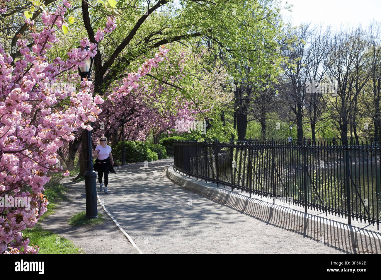 Runners on The Reservoir Jogging Path, Central Park, NYC Stock Photo ...