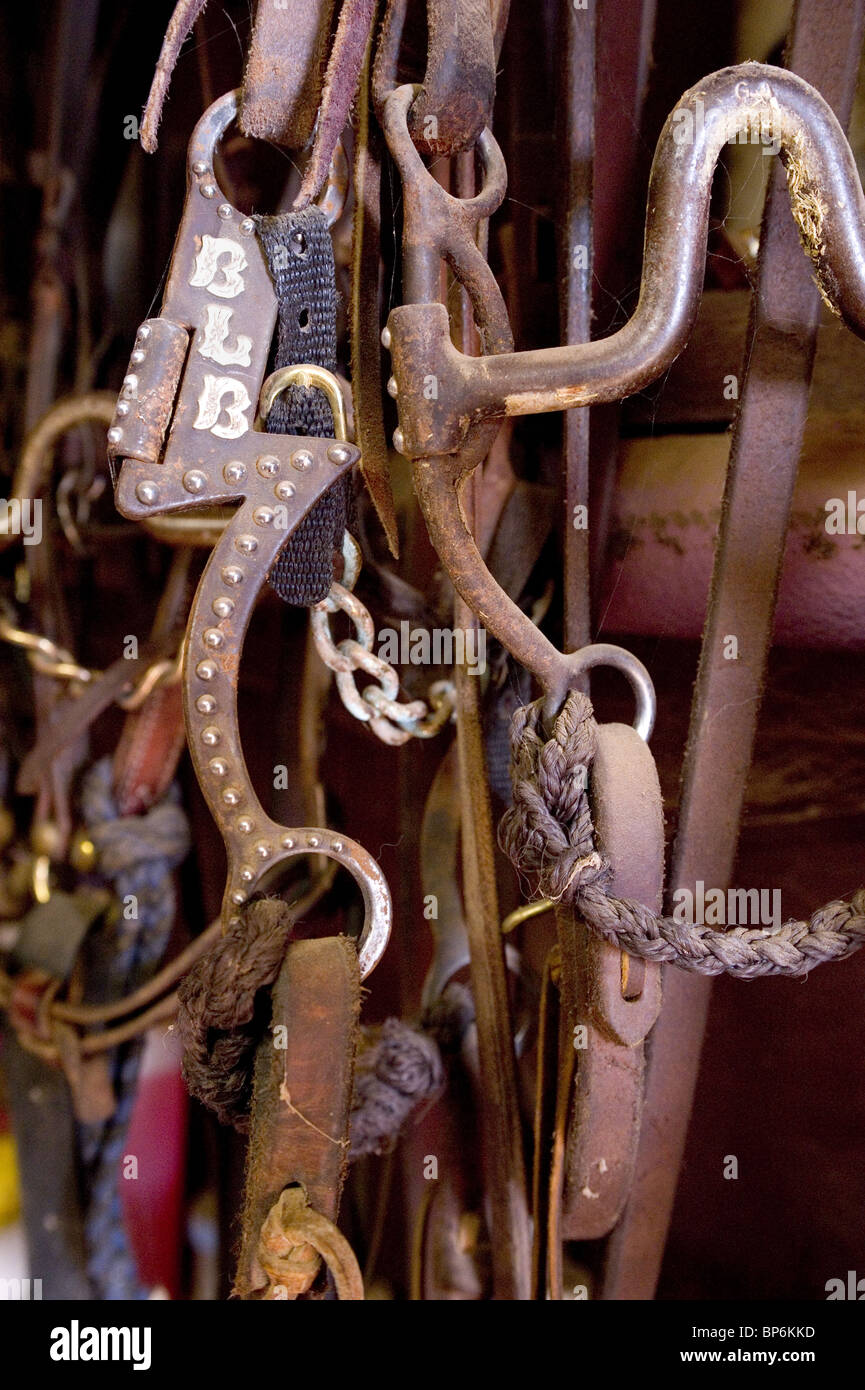 Horse Bridle and Bit Stock Photo - Alamy