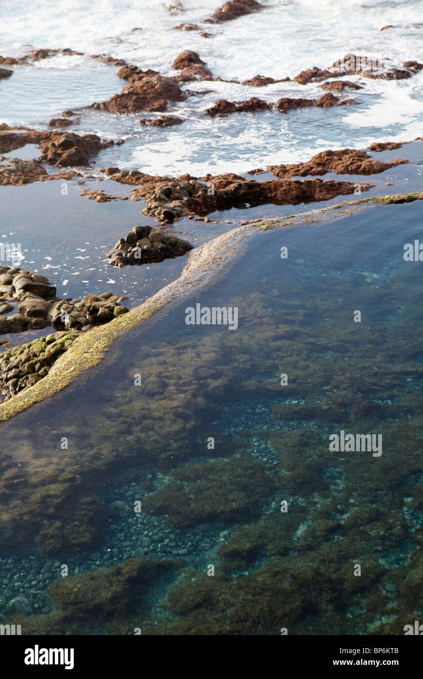 Detail of rock pools Stock Photo - Alamy