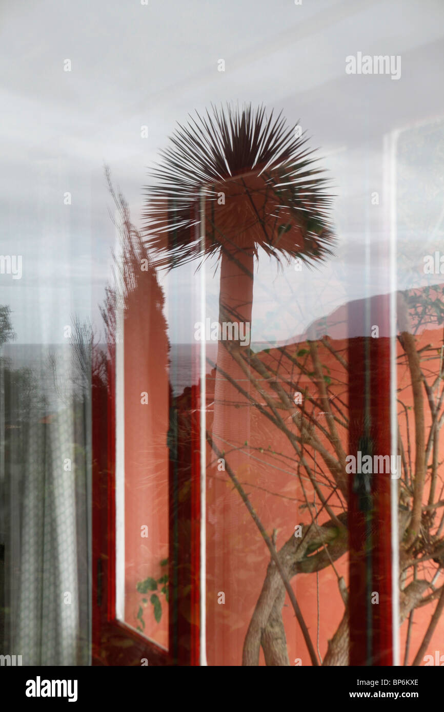 Silhouette tree branch through window hi-res stock photography and ...