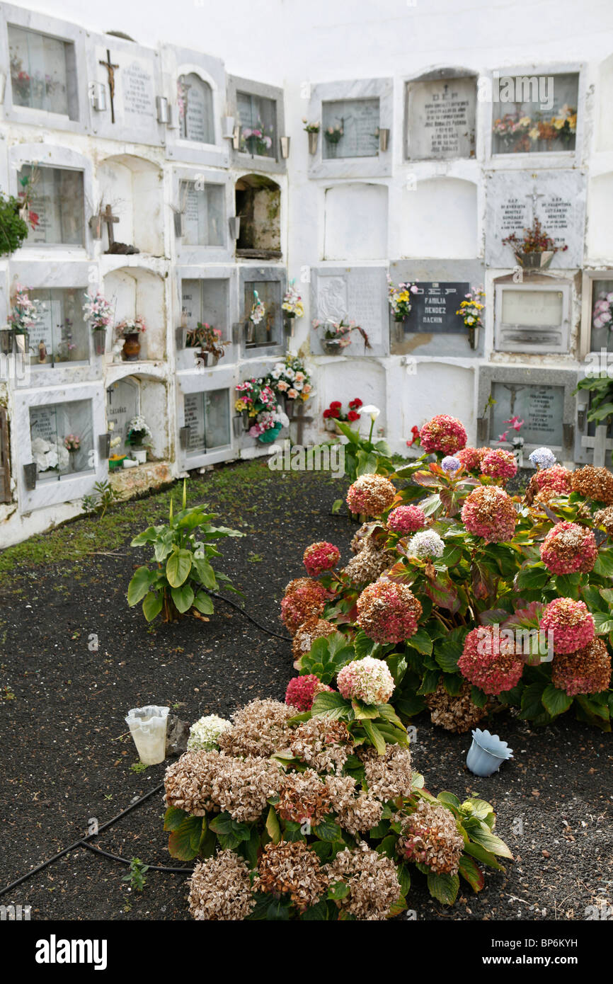 Garden of tombs hi-res stock photography and images - Alamy