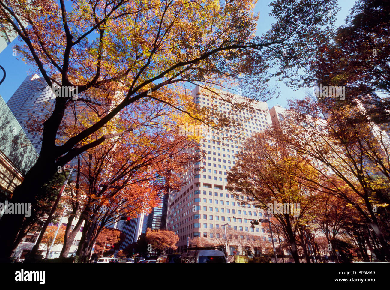 Autumn Leaves and Buildings, Shinjuku, Tokyo, Japan Stock Photo - Alamy