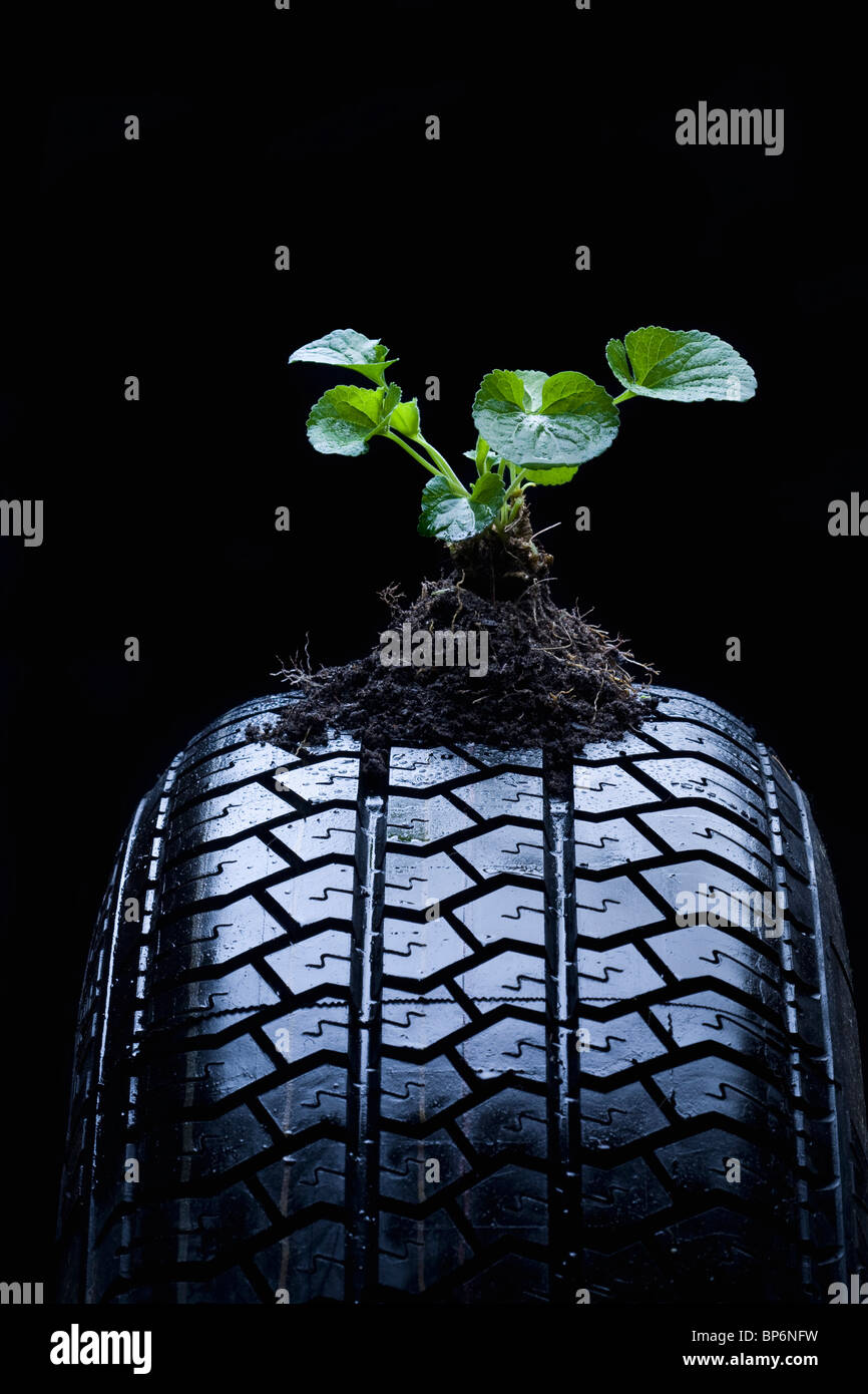 Tire tread plant hi-res stock photography and images - Alamy