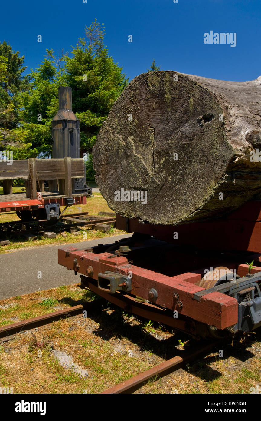 Old historic logging history hi-res stock photography and images - Alamy