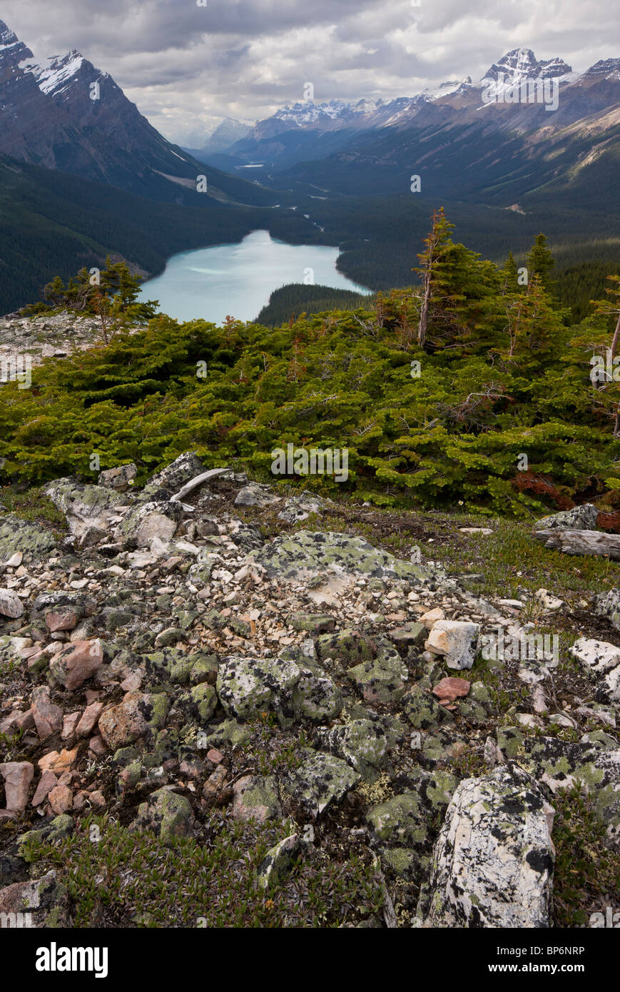 Peyto Lake from Mount Jimmy Simpson, Banff National Park, Rockies ...