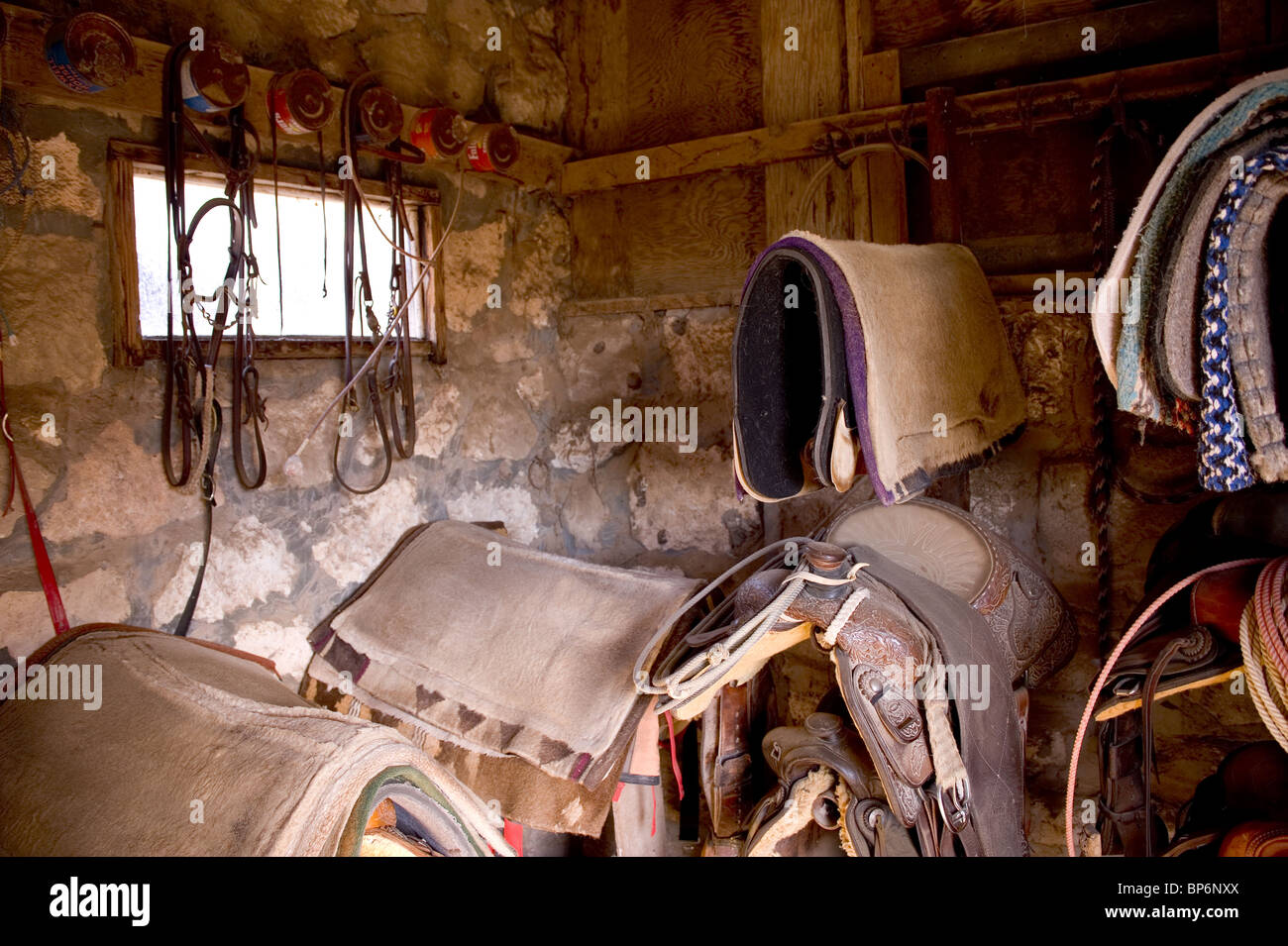 Lasso saddle hi-res stock photography and images - Alamy