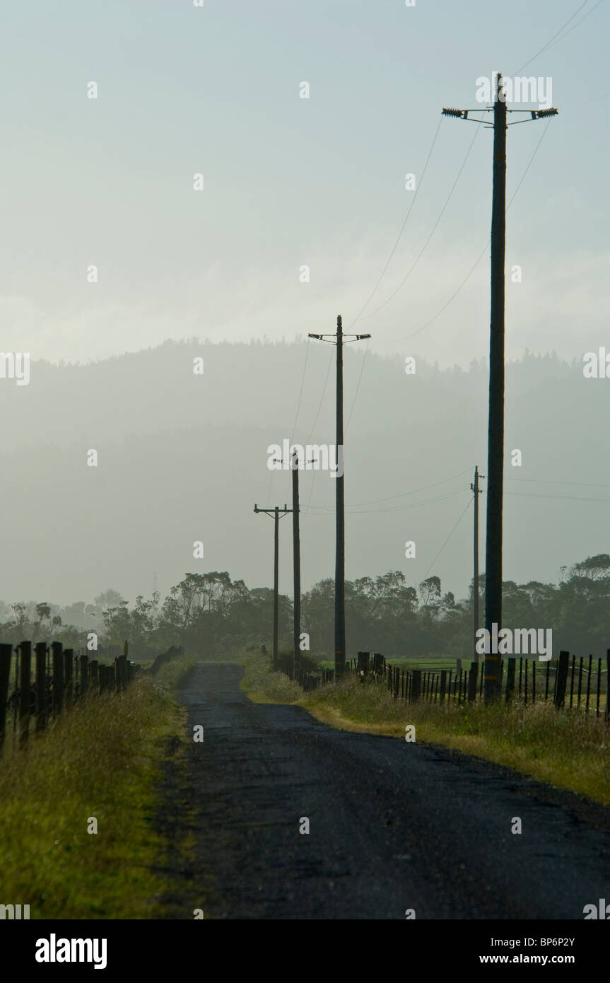 Empty road country lane hi-res stock photography and images - Alamy