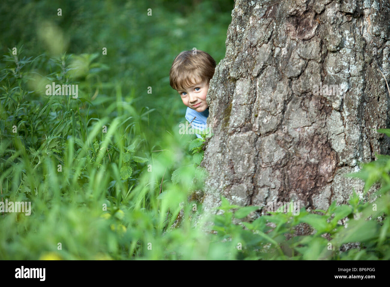 A young boy peeking from behind a tree trunk Stock Photo - Alamy
