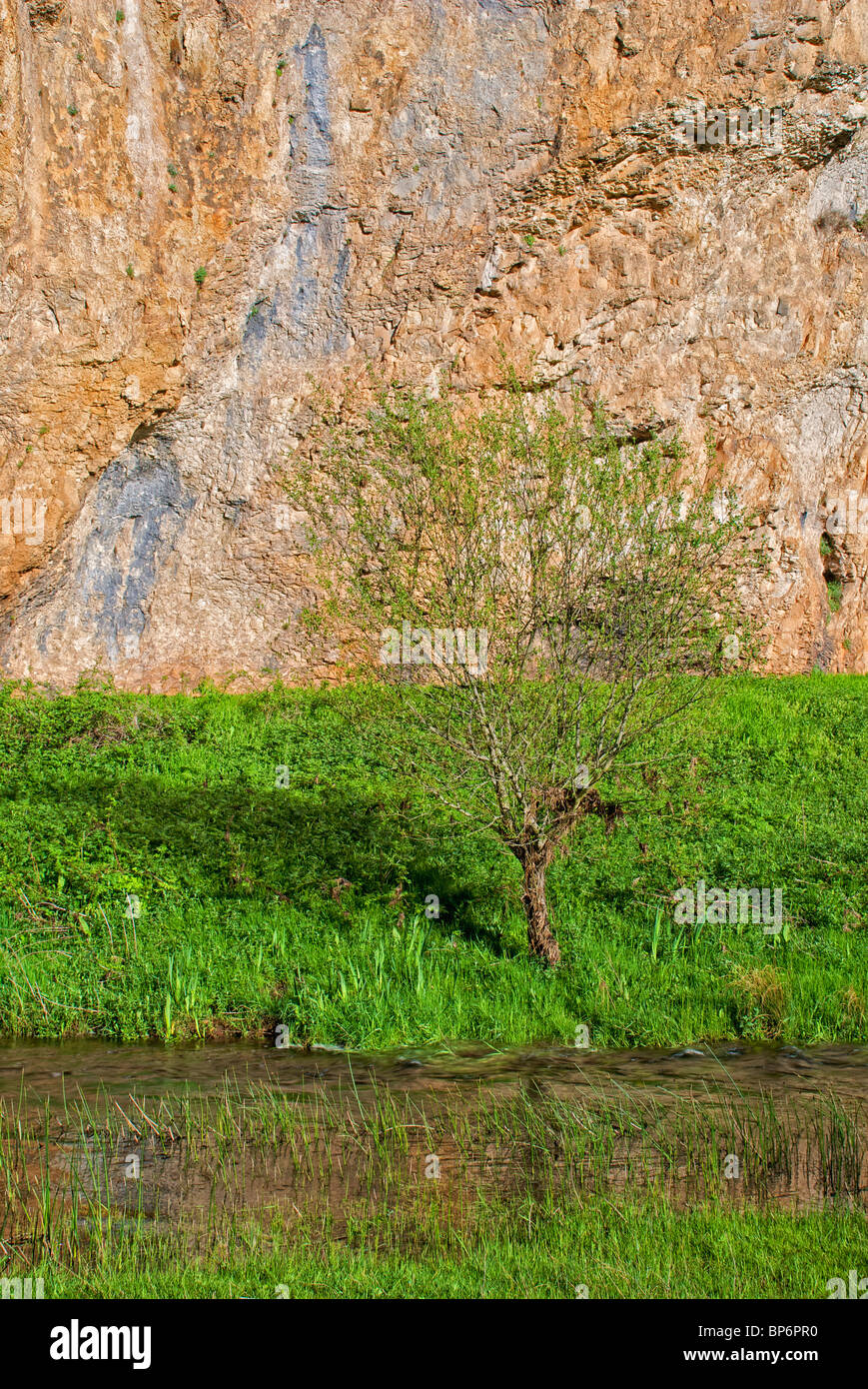 Lobos River. Cañon del Rio Lobos Natural Park. Soria province. Castilla ...